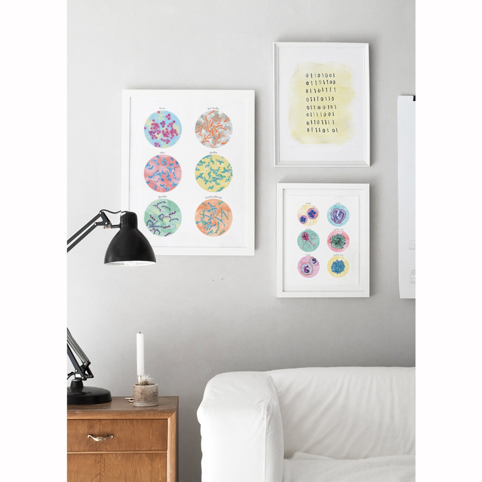 Bacterial Shape Collection, Microbiology Poster, Science Art, Science ...