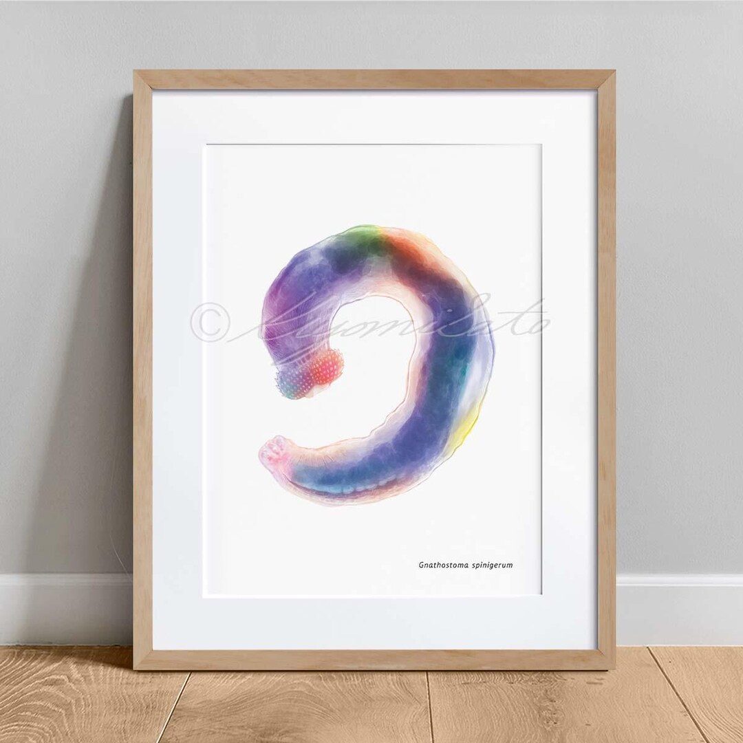 Gnathostoma Spinigerum Abstract Parasite Art Print, Fish Born Parasite ...