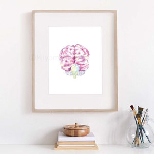 Human Brain Watercolor Painting Poster, Science Art, Biology Anatomy ...