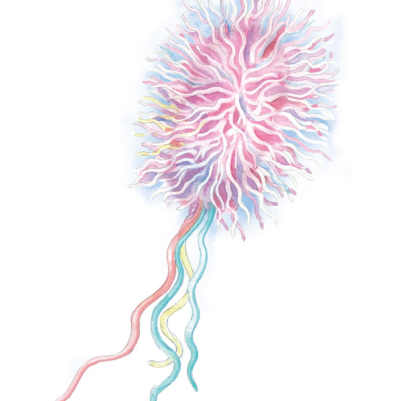 Bacteria Flagellum Science Art Wall Decor Poster Biology - Etsy