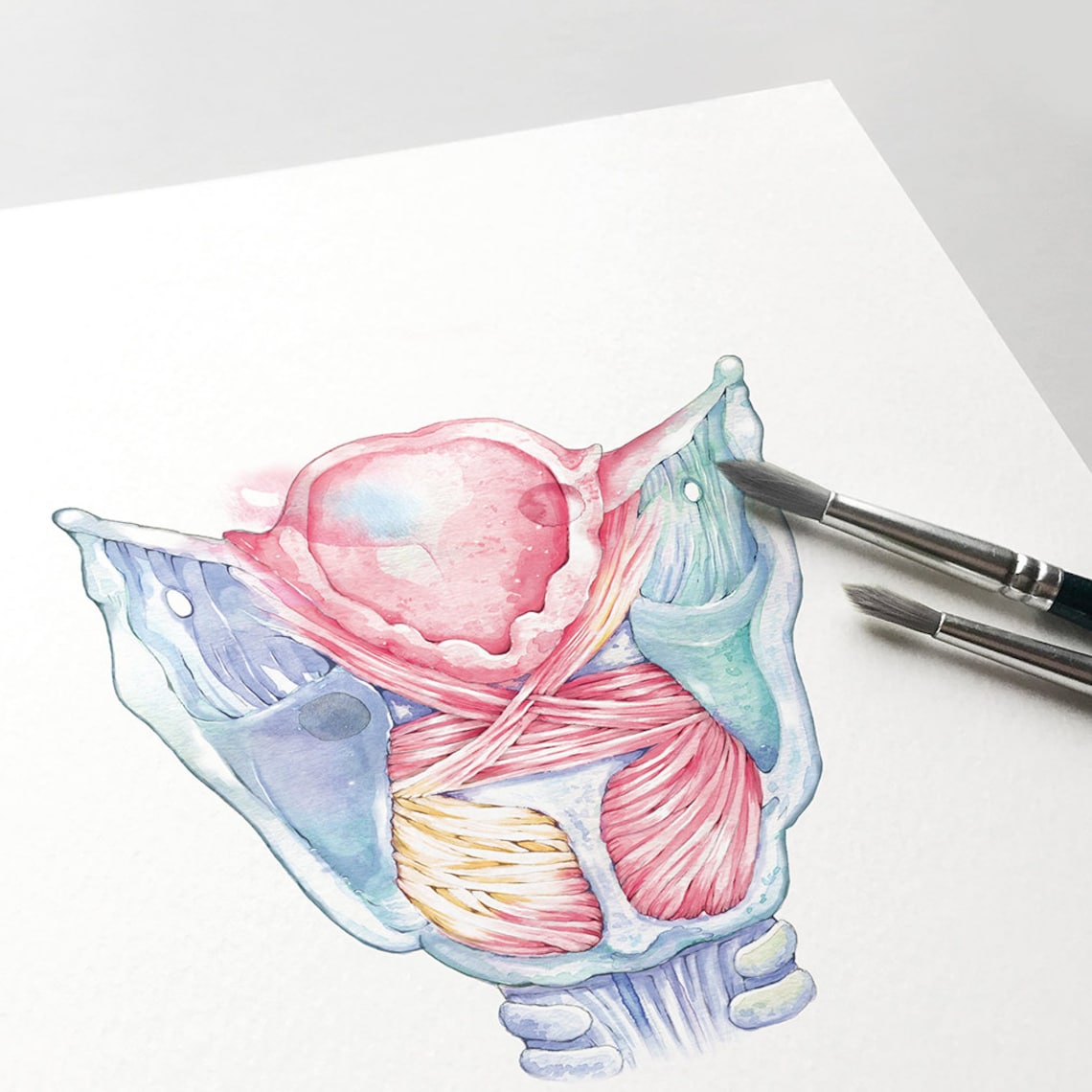 Laryngeal Muscles Posterior View Speech Language Pathology - Etsy