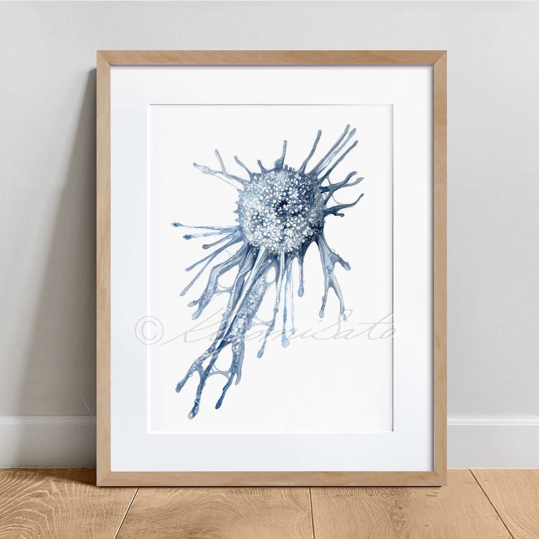 Innate Immunity, Macrophage, Science Art Print, Biology Wall Decor ...