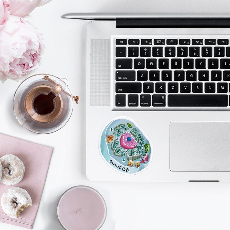 Animal Cell Cross Section Vinyl Sticker Unique Science Decal | Etsy