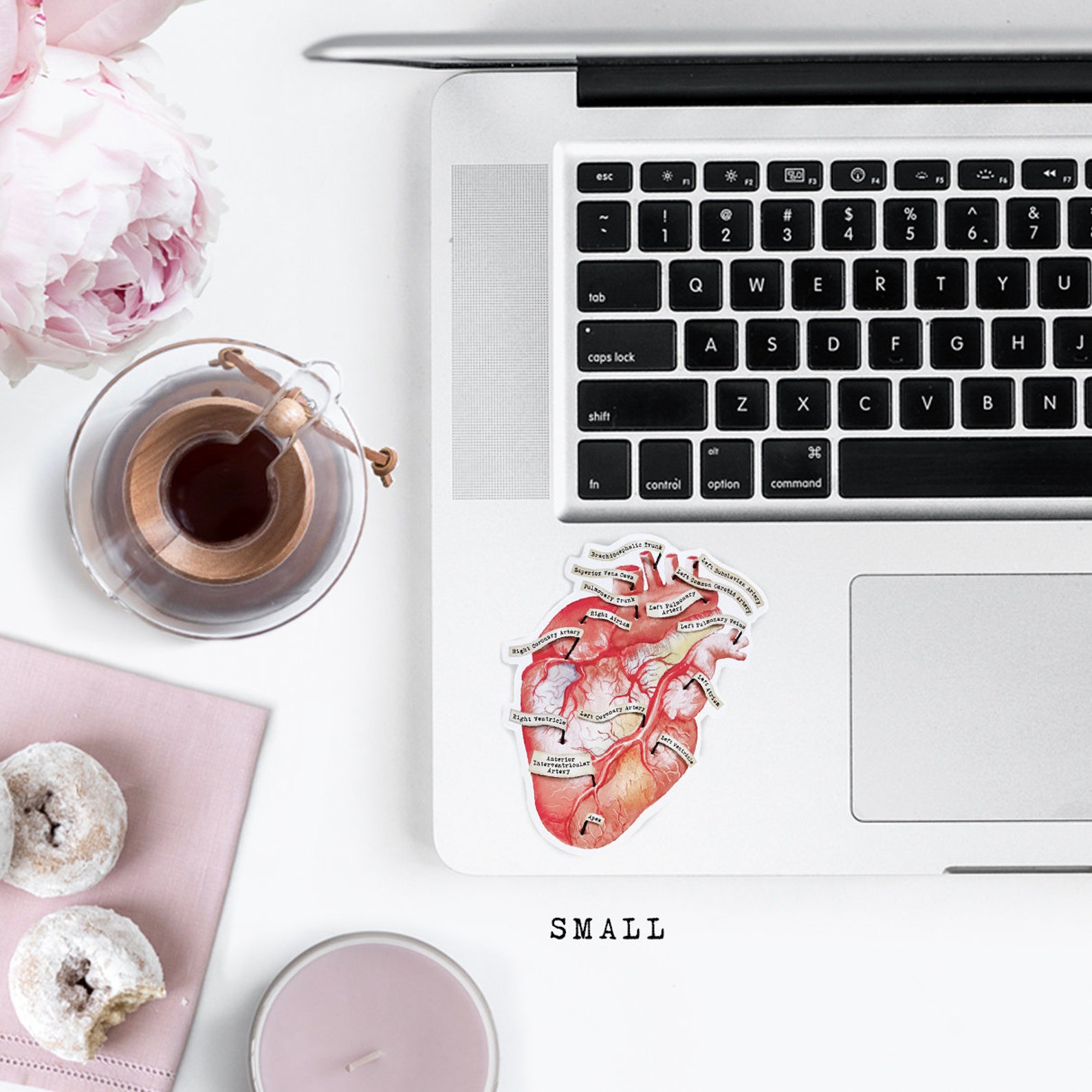 Anatomical Human Heart Vinyl Sticker Unique Decal - Etsy