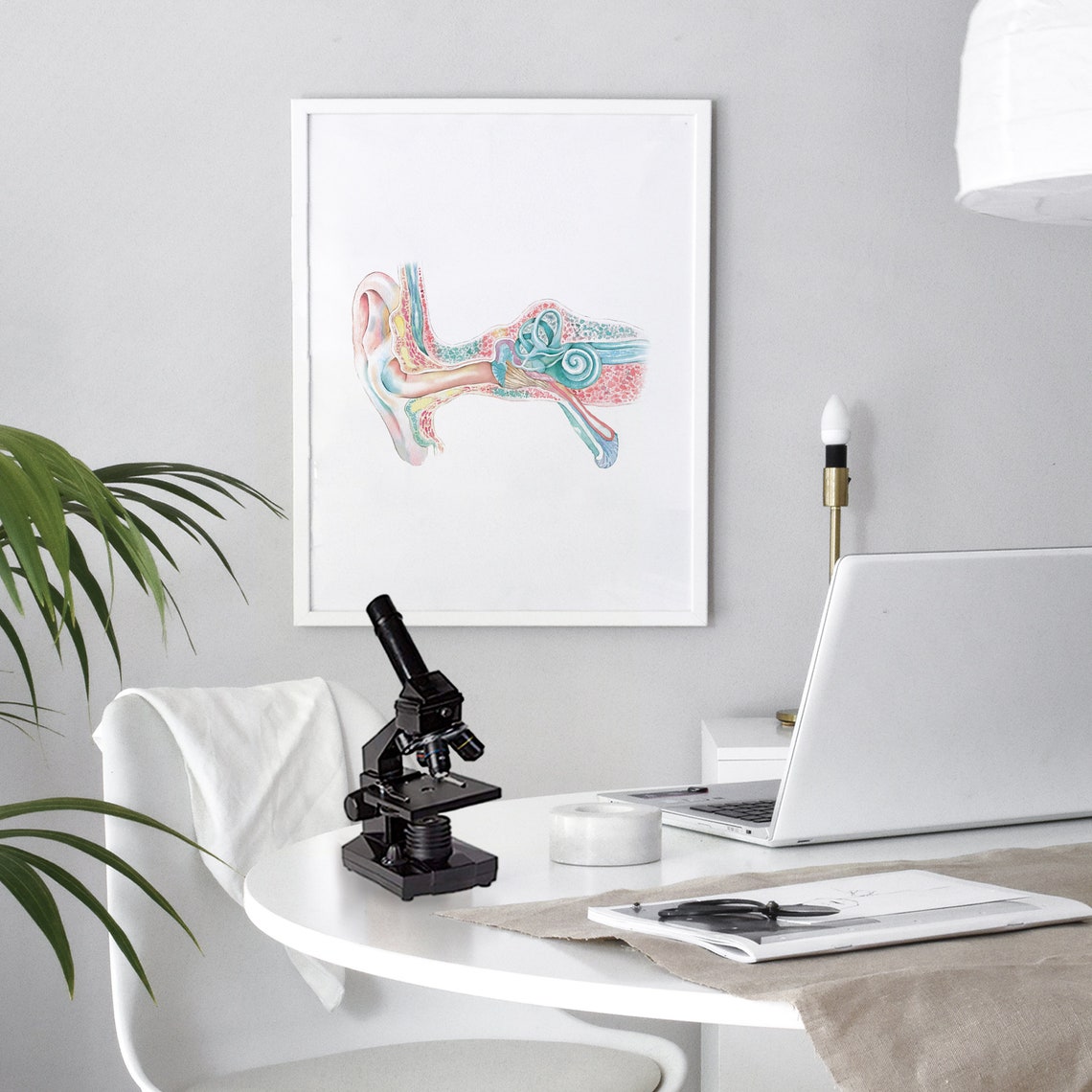 Ear Structure Art Inner Middle Outer Ear Art Print Biology - Etsy