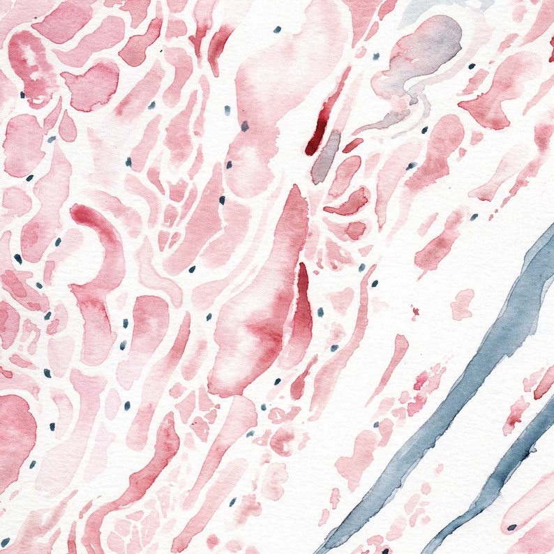 Connective Tissue Art Collagen Bundle Histology Art Science - Etsy