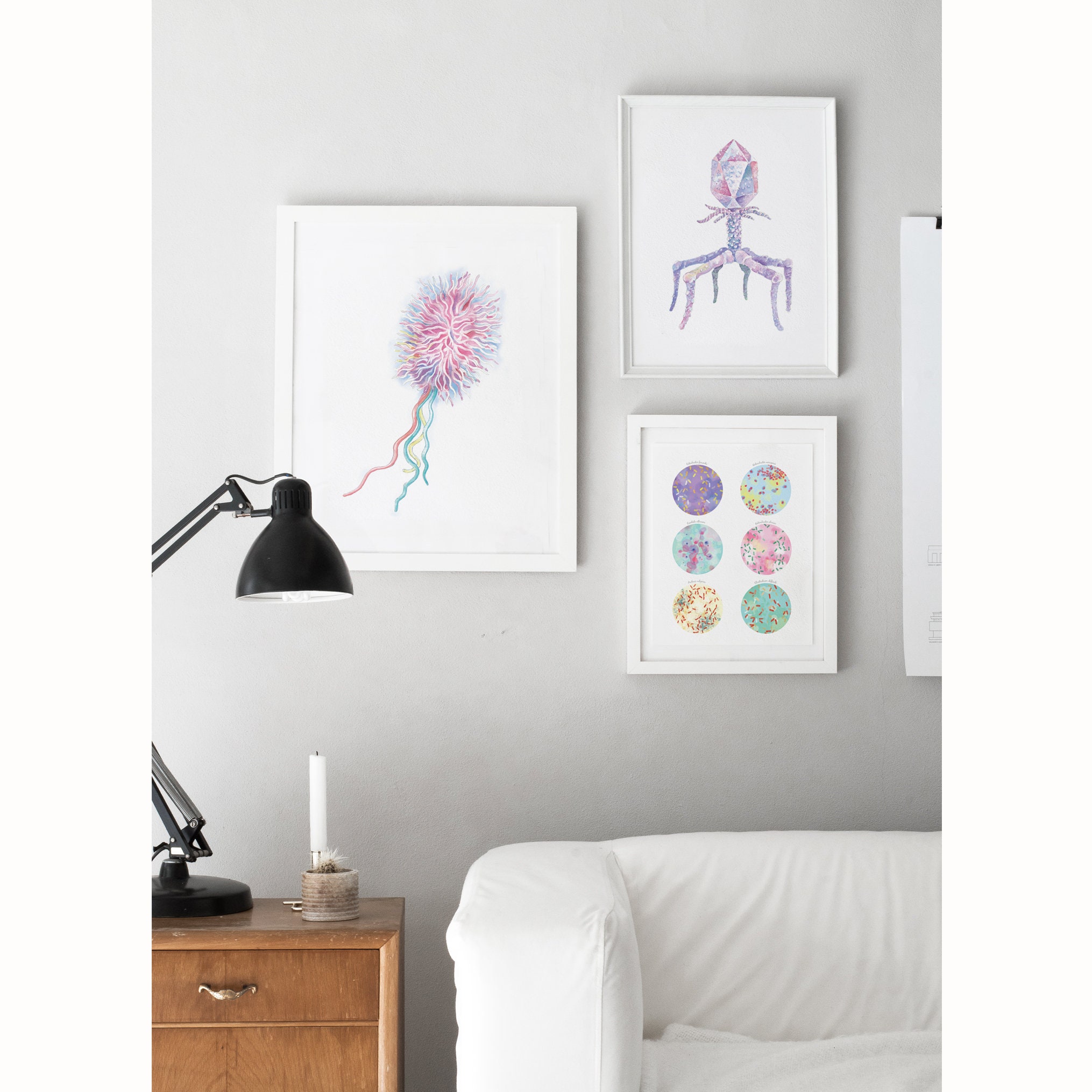 Bacteria Flagellum Science Art Wall Decor Poster Biology - Etsy