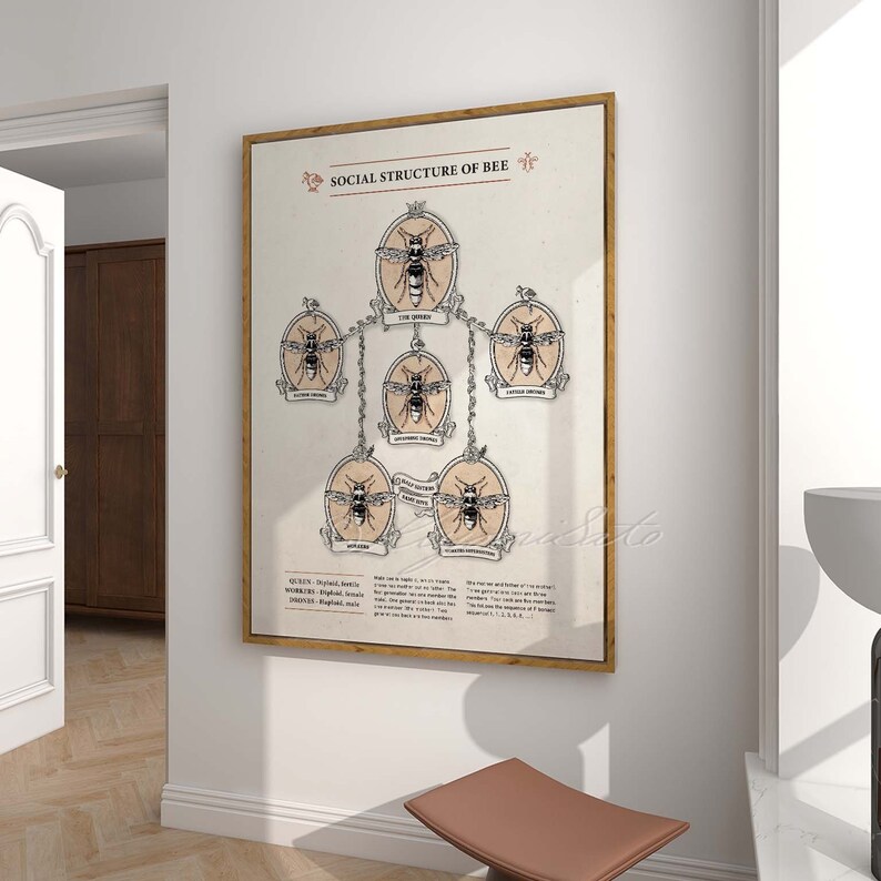 Social Structure of Bee, Melittology Art Poster, Bee Family Chart Print ...