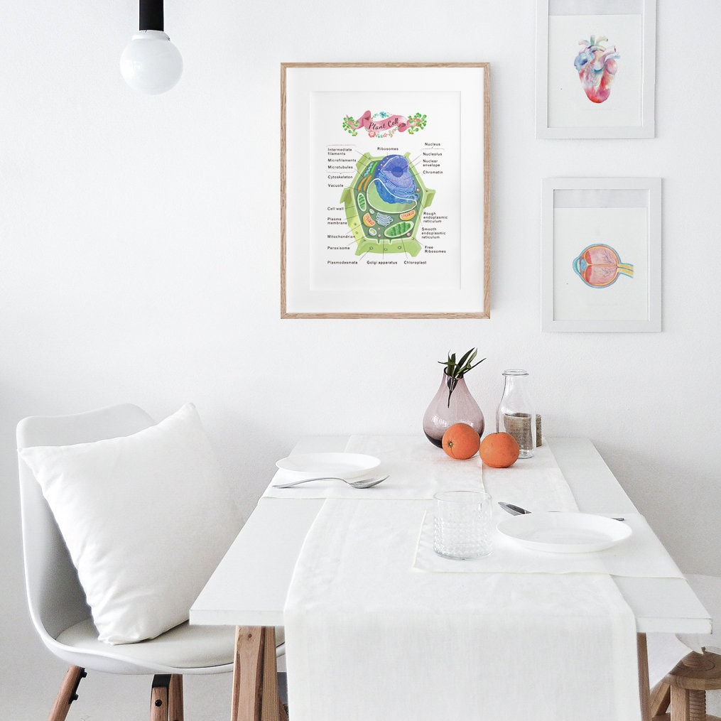 Plant Cell Cross Section Poster Science Art Wall Decor - Etsy