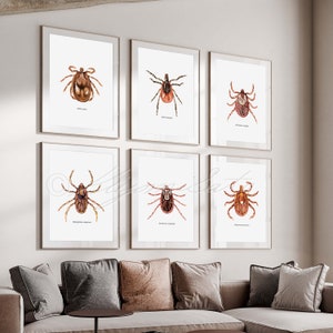 Tick Poster Set of 6, Tick Gallery Art Set, Tick Parasite Prints ...