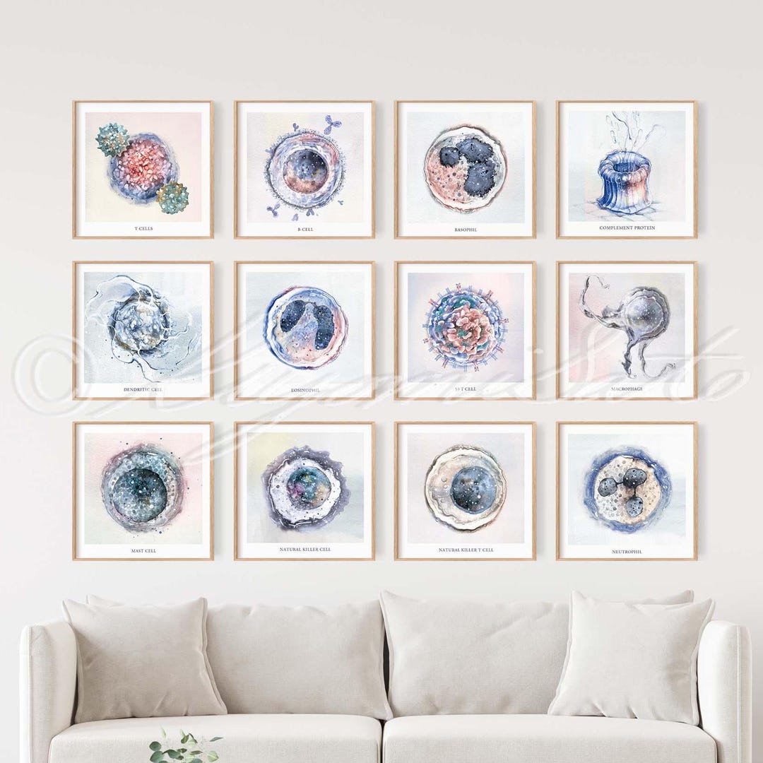 Immune System 12 Posters Set Square Posters, Immunology Innate Immunity ...