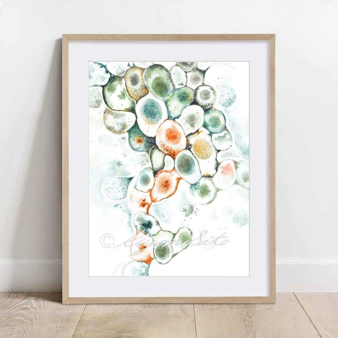 Veterinary Mast Cell Art Print, Dog Blood Cells, Hematology Poster ...