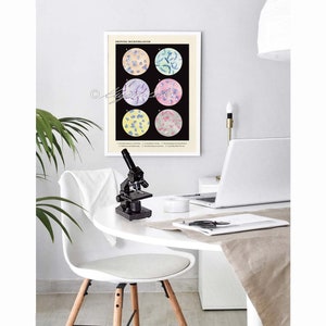 Brewing Microorganism Collection, Vintage Style Microbiology Poster ...