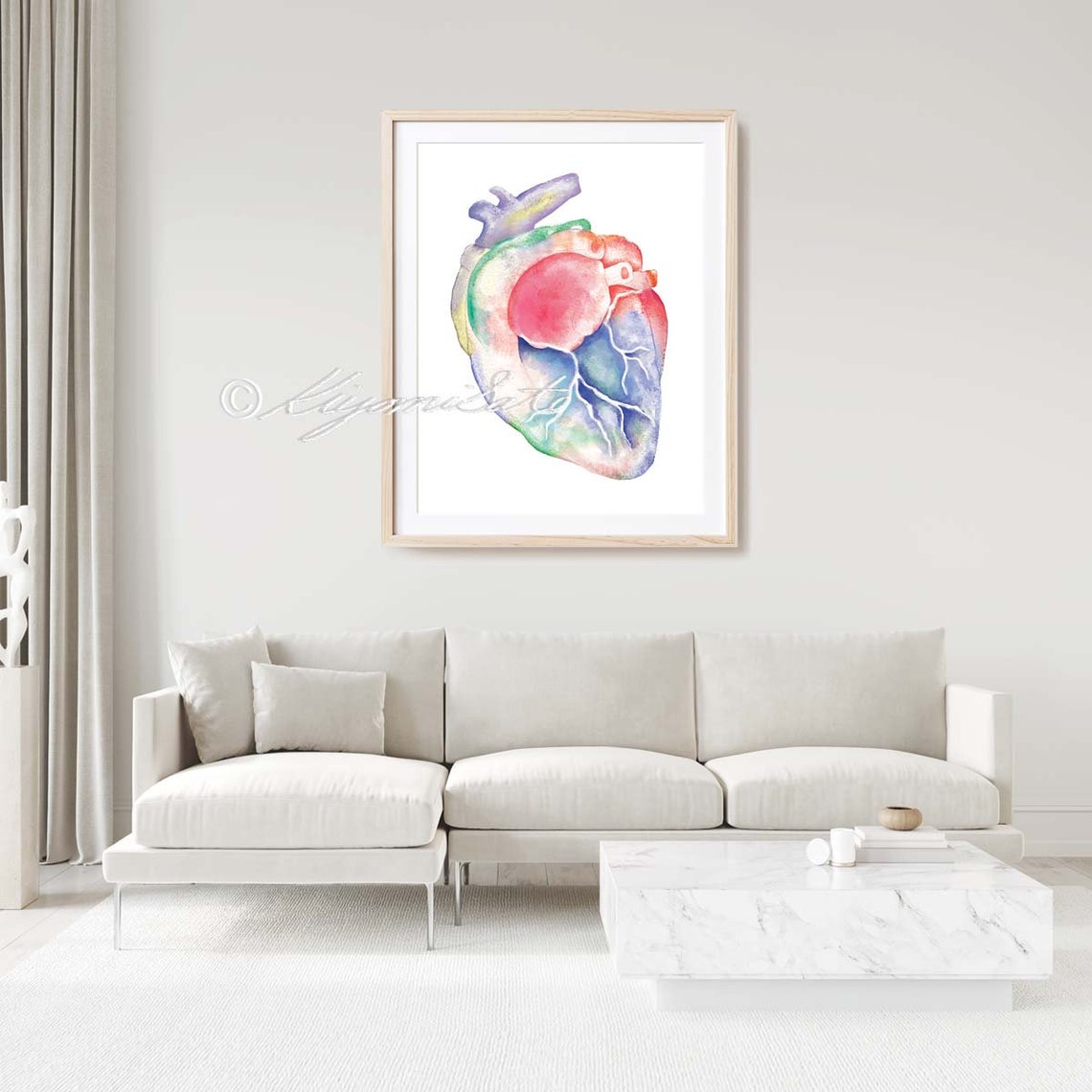Feline Heart Anatomy Art Print Veterinary Decor Cat Cardiology Print ...