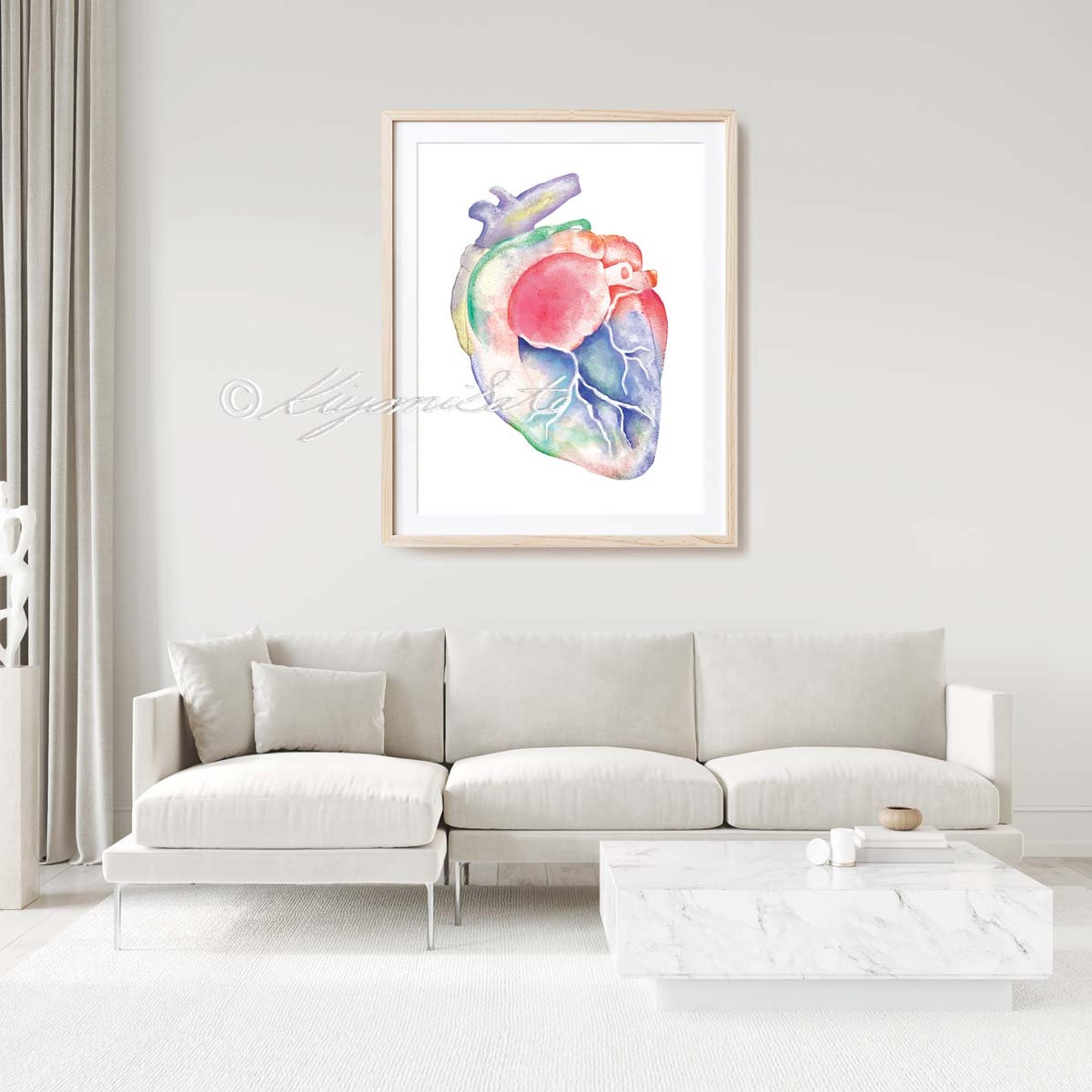 Feline Heart Anatomy Art Print Veterinary Decor Cat Cardiology Print ...