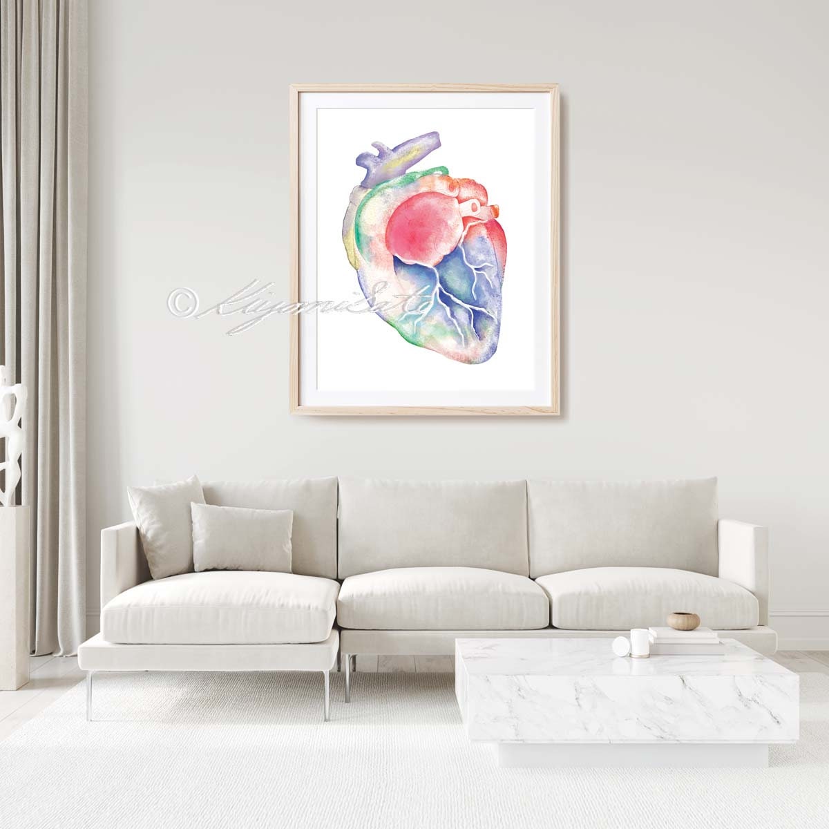 Feline Heart Anatomy Art Print Veterinary Decor Cat Cardiology Print ...