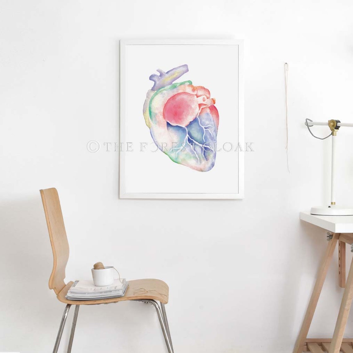 Feline Heart Anatomy Art Print Veterinary Decor Cat - Etsy