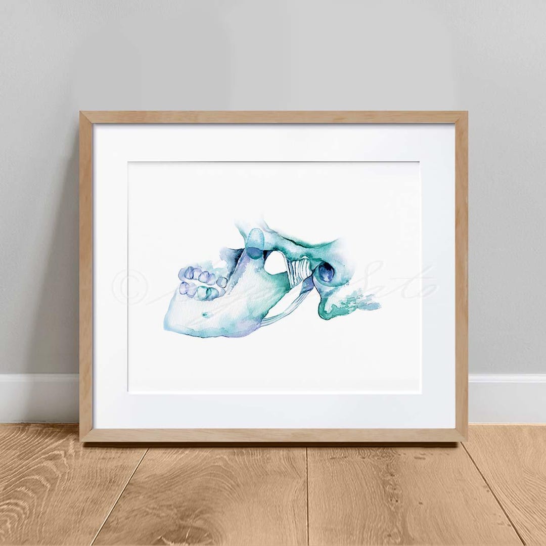 TMJ and Ligament Art Print, Dental Office Decor, Watercolor Anatomy ...