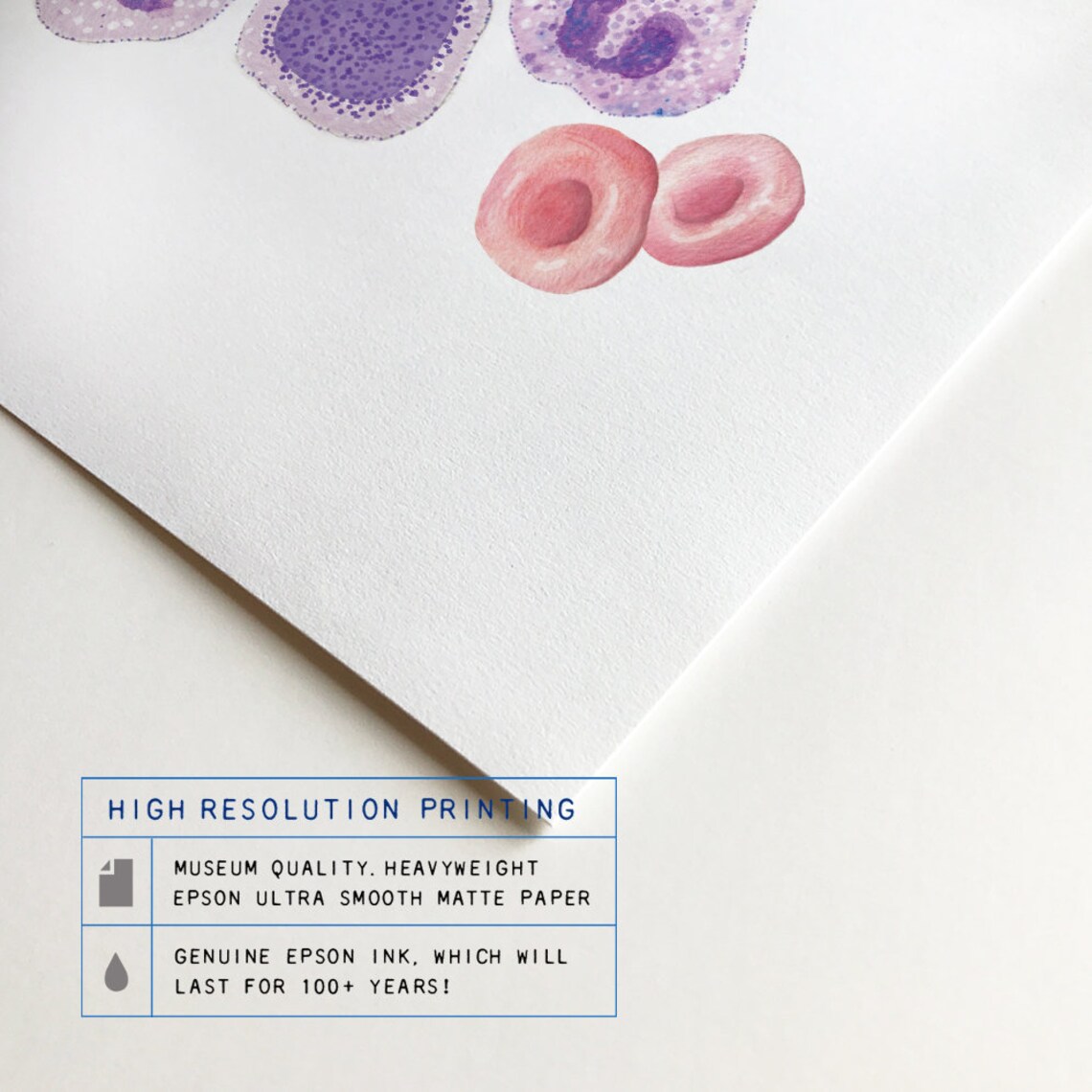 Blood Cells Biology Poster Science Art Print Red Blood - Etsy