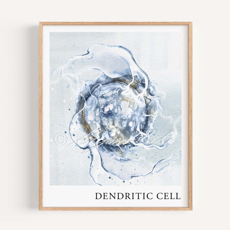 Dendritic Cell Innate Immunity Art Print Blood Cell Cytology - Etsy