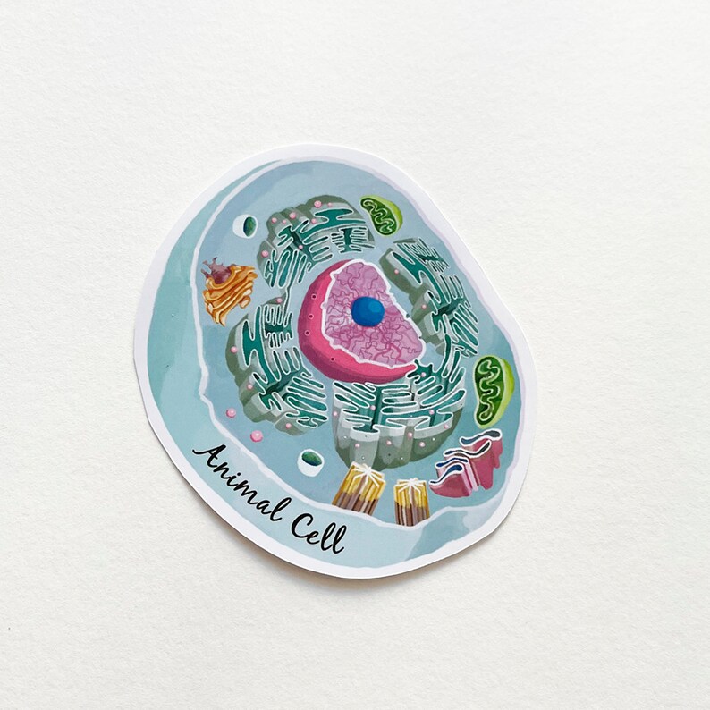 Cell Sticker Set of 3 Animal Cell Bacteria Cell Plant Cell | Etsy
