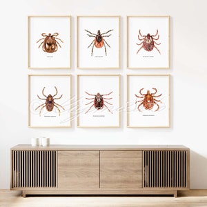 Tick Poster Set of 6, Tick Gallery Art Set, Tick Parasite Prints ...
