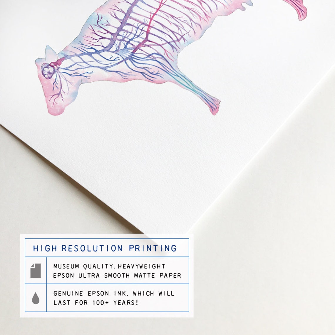 Cattle Nervous System Science Art Poster Veterinary decor | Etsy