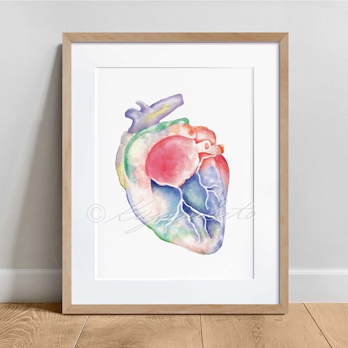 Canine Heart Anatomy Art Print Veterinary Decor Dog Biology - Etsy