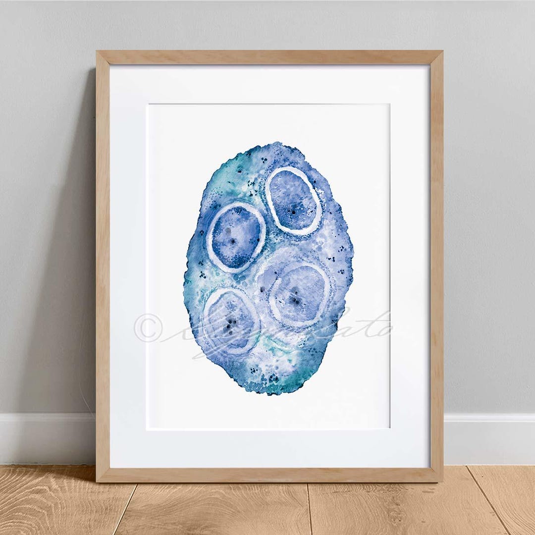 Wolbachia, Science Art Print, Bacteria Poster, Microbiology Decor - Etsy