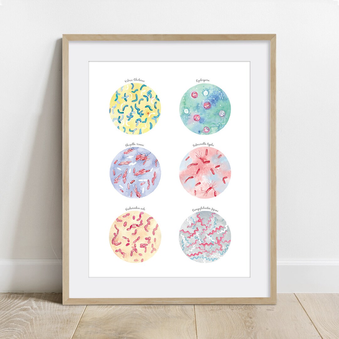 Waterborne Pathogens Collection, Science Art Poster, Microbiology Wall ...