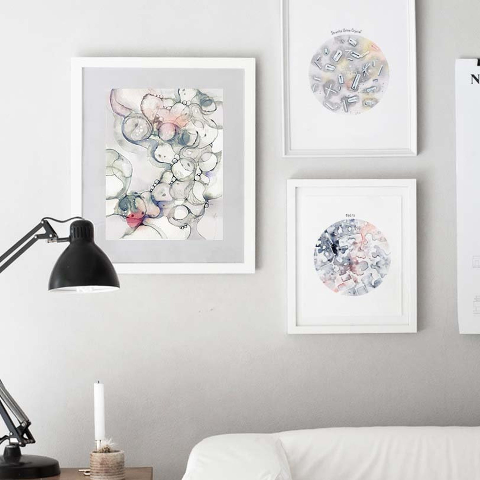 Histology of Fatty Tissue Art Poster Science Art Anatomy - Etsy