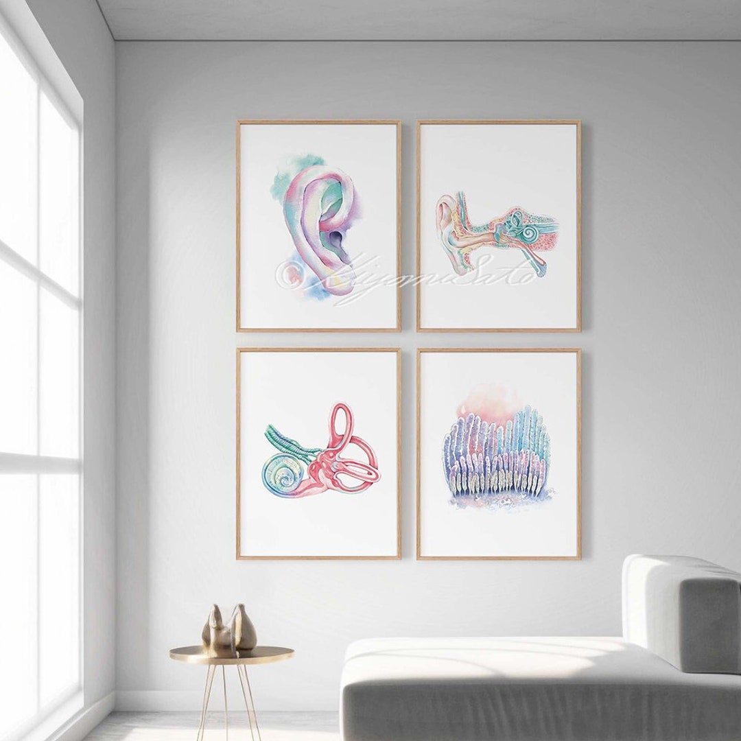 Ear Science Art 4 Print Set, Otolaryngologist Biology Poster, Science ...