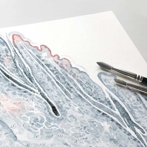 Cat Back Skin Histology Art, Veterinary Art Decor, Feline Anatomy Art ...