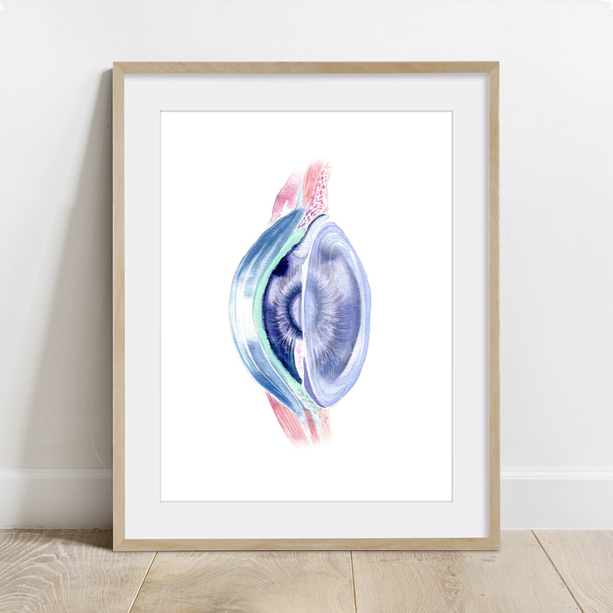 Eye Lens Poster Optometry Science Art Print Ophthalmology - Etsy