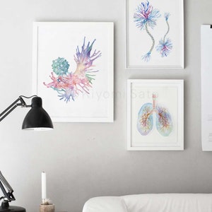 Immune Cell Attacking Cancer Cell, Science Art Print, Biology Wall ...