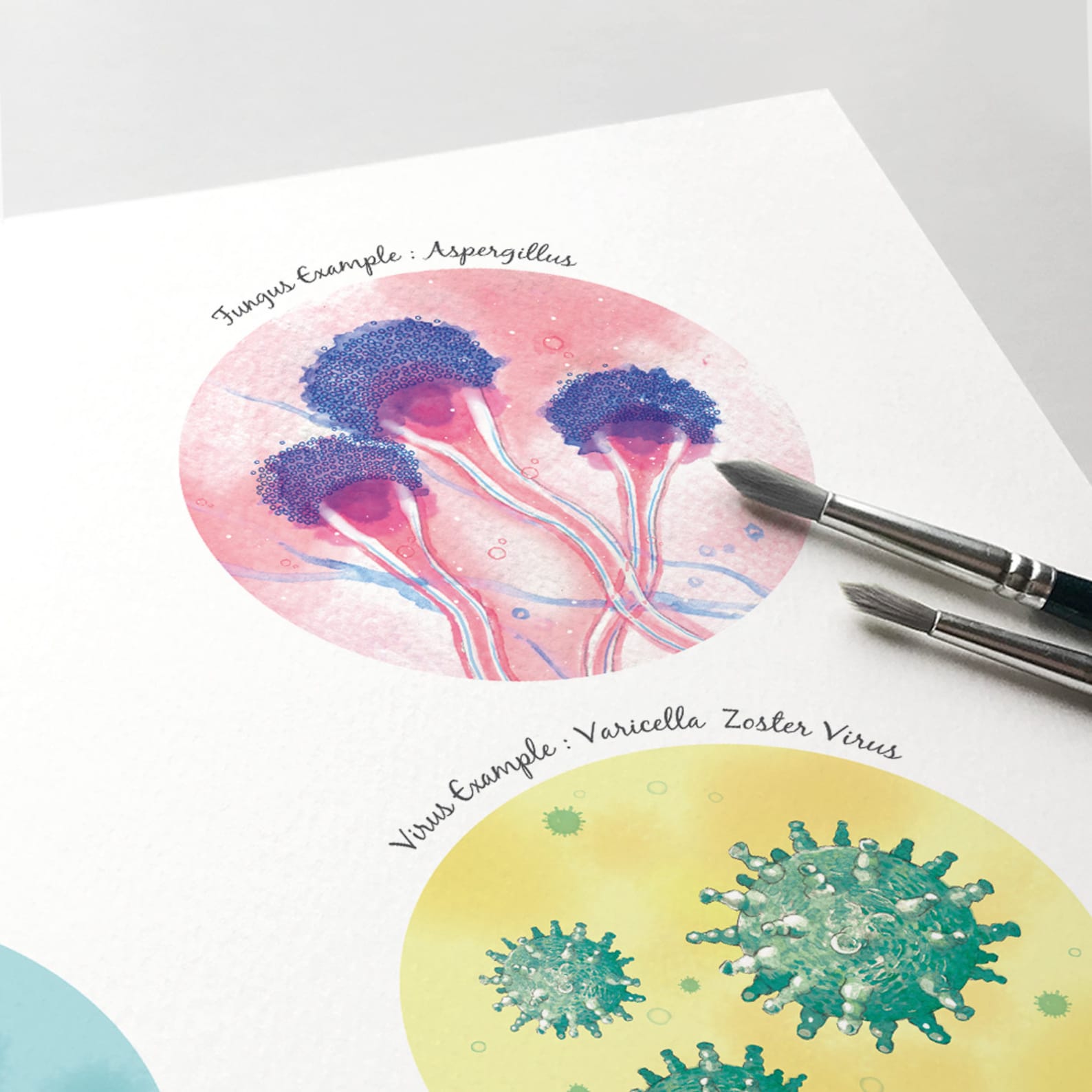 Six Types of Microorganisms Examples, Molecular Biology, Microbiology ...