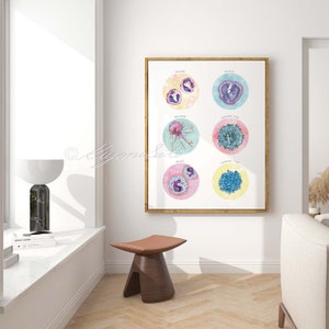 Defensive Cells, Immune System Collection, Microbiology Art Poster ...