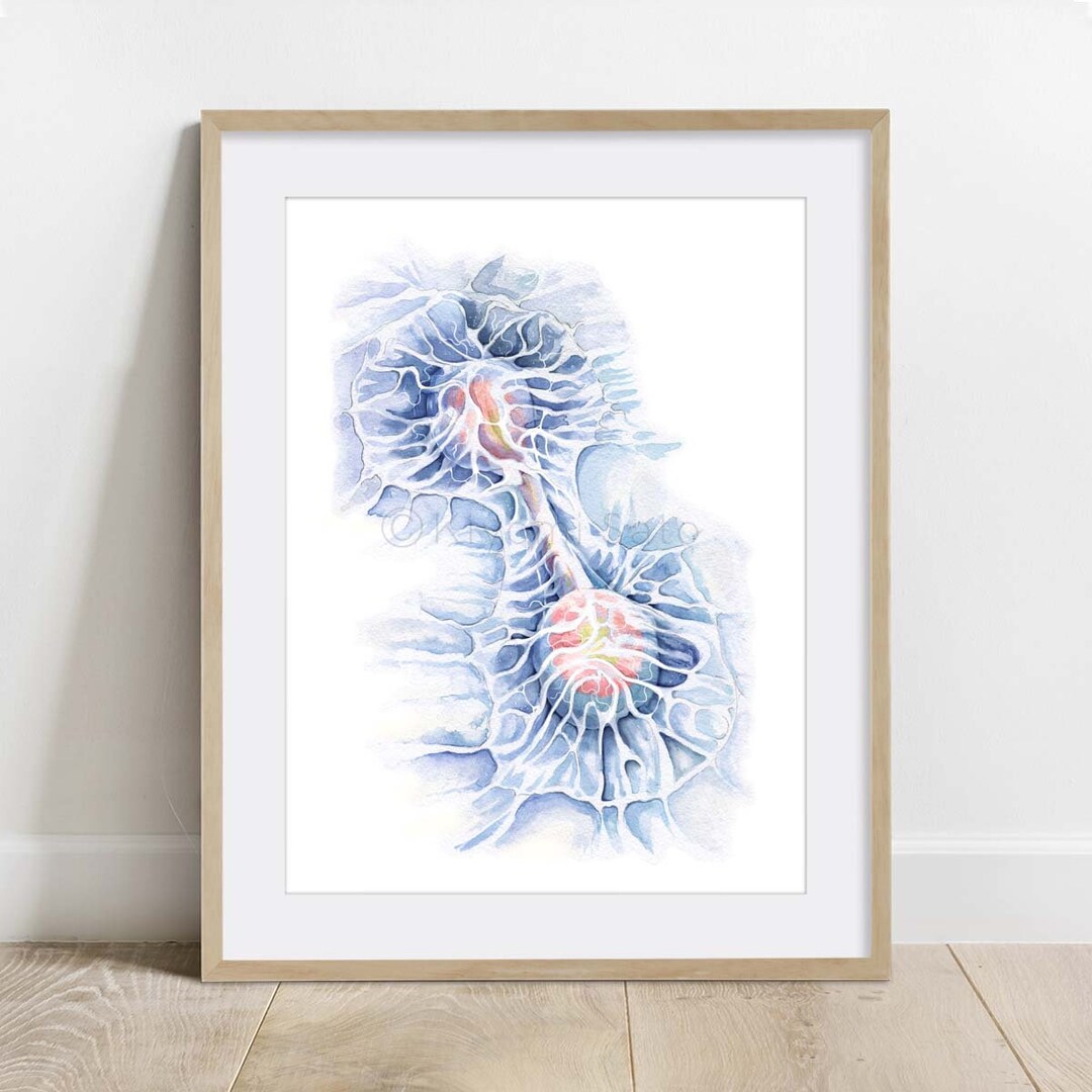 Cell Division Science Art Print, Biology Art Poster, Watercolor - Etsy