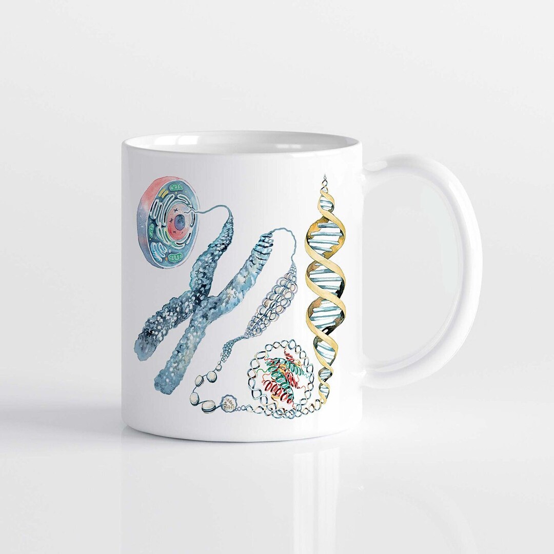 Biology Mug, Cell to DNA Mug Science Gift, Genetics Mug, Biochemistry ...