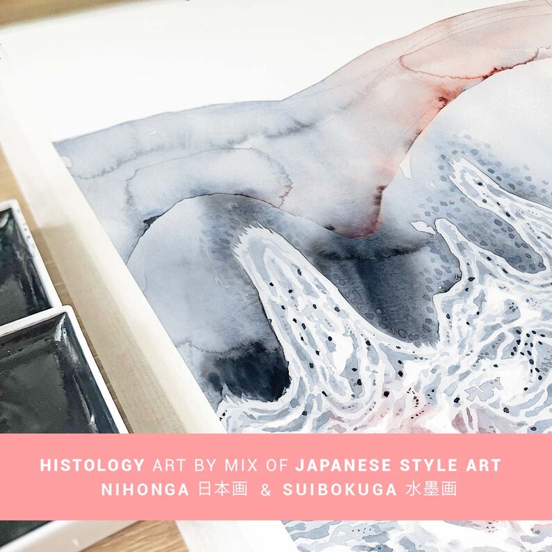 Thick Skin Histology Art Poster Epidermis Histology - Etsy