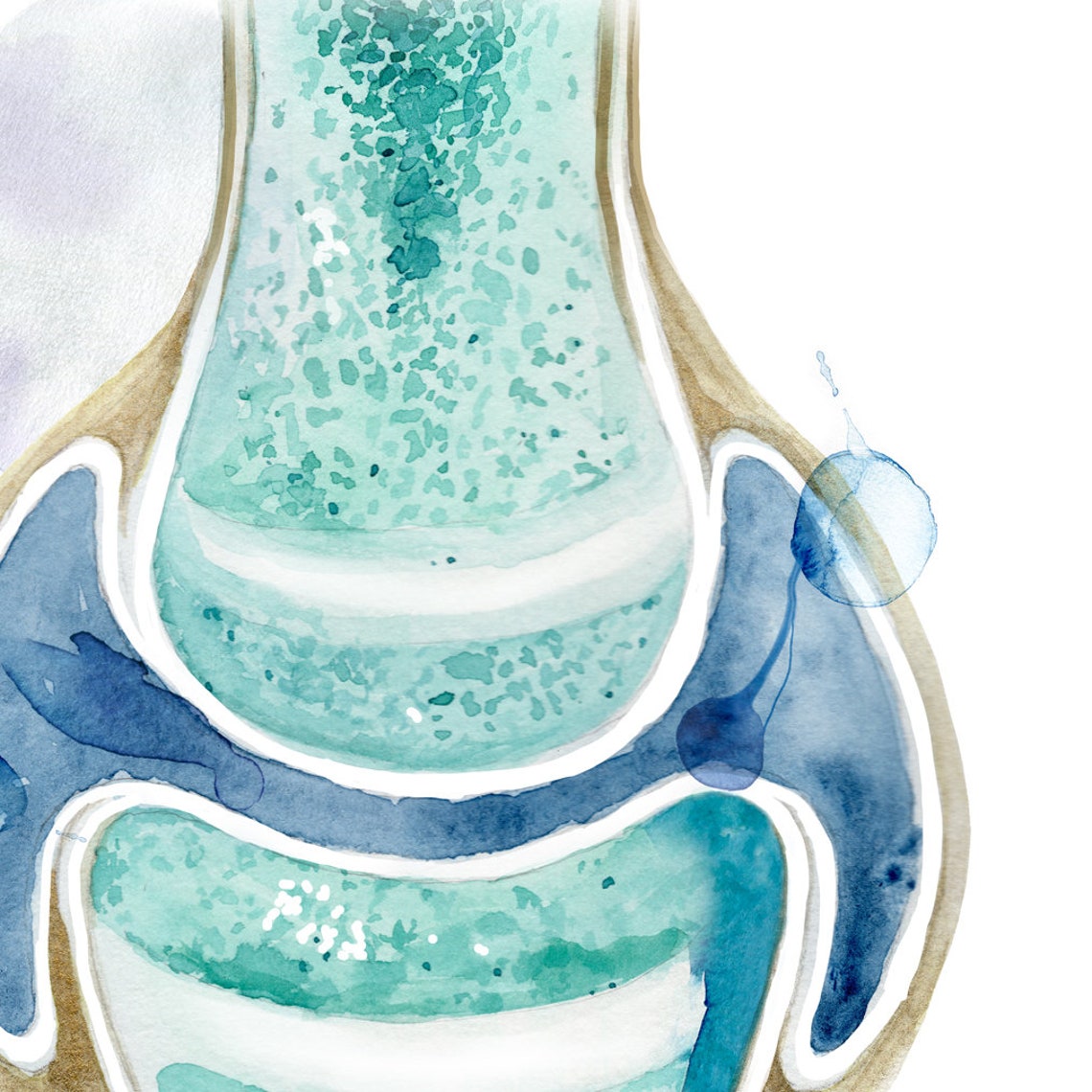 Joint Bone Synovial Joint Science Art Poster Biology - Etsy
