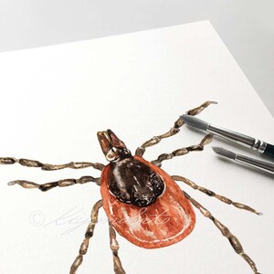 Tick Poster Set of 6 Tick Gallery Art Set Tick Parasite - Etsy