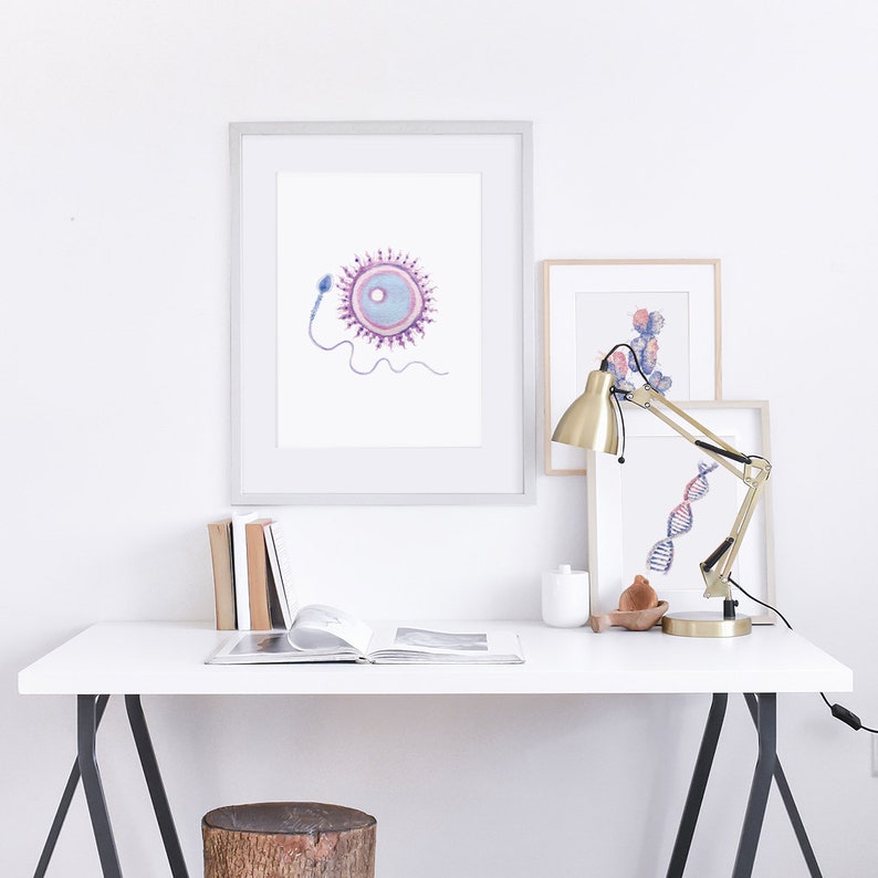 Reproductive Cells Biology Poster Cytology Art Science Art - Etsy