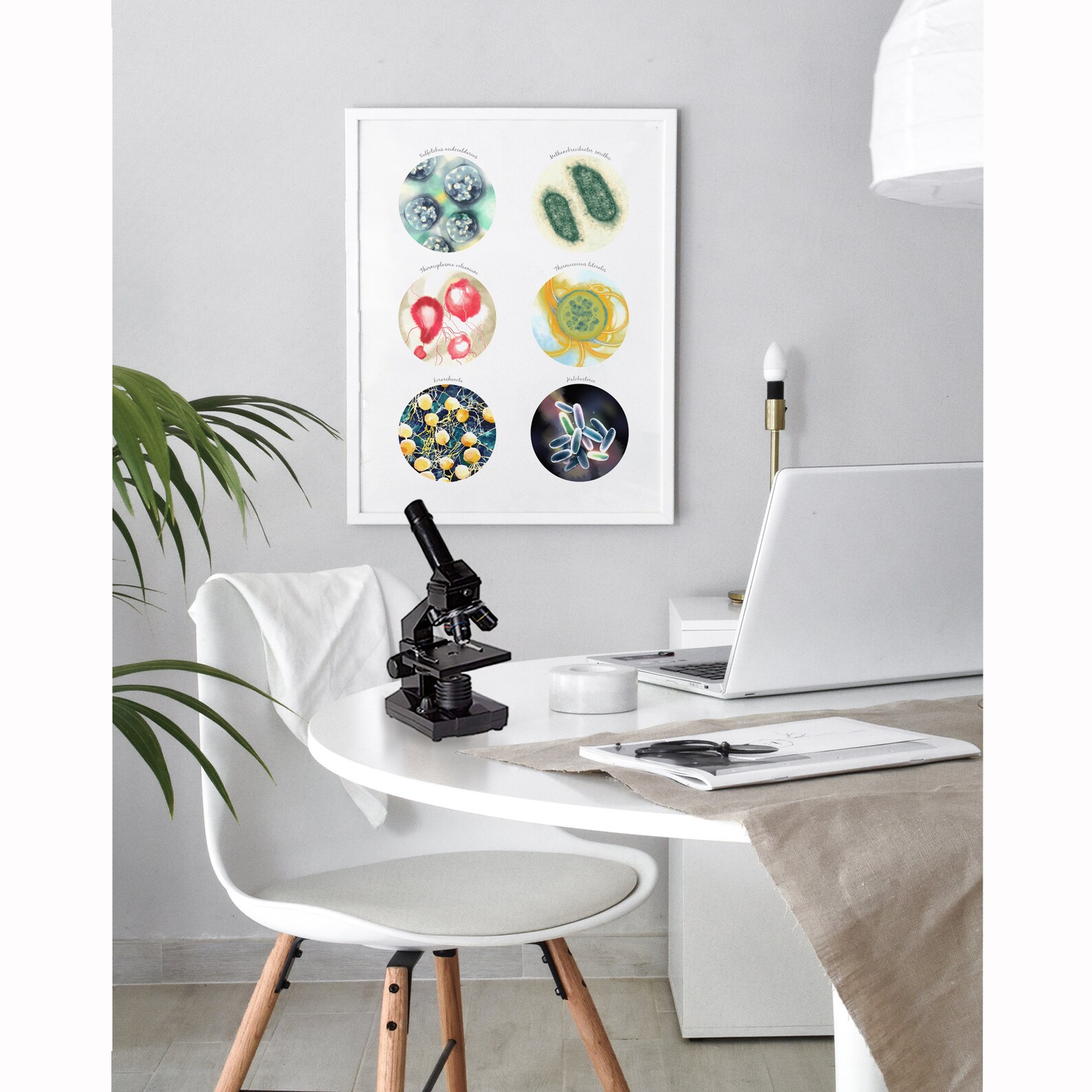Ancient Bacteria Collection Art, Archaea, Archaebacteria, Science Art ...