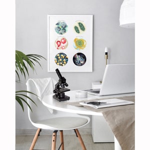 Ancient Bacteria Collection Art, Archaea, Archaebacteria, Science Art ...