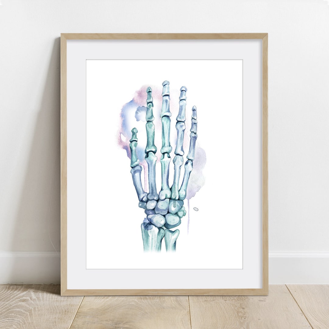 Carpal Bone, Hand Bone, Science Art Poster, Biology, Anatomy Print - Etsy