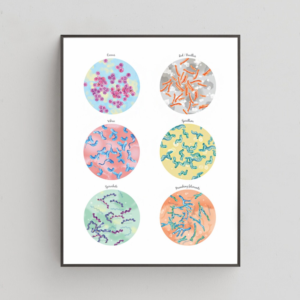 Bacterial Shape Collection Microbiology Poster Science Art - Etsy
