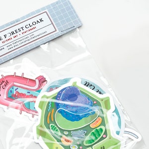 Cell Sticker Set of 3, Animal Cell, Bacteria Cell, Plant Cell Vinyl ...