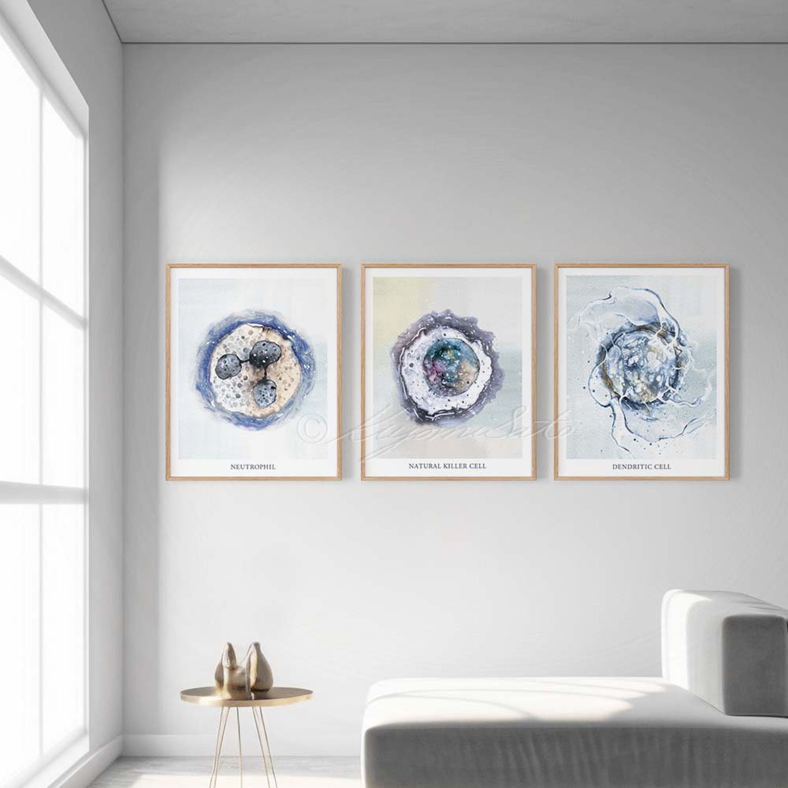 Neutrophil, Natural Killer Cell, Dendritic Cell Poster Set Immunology ...