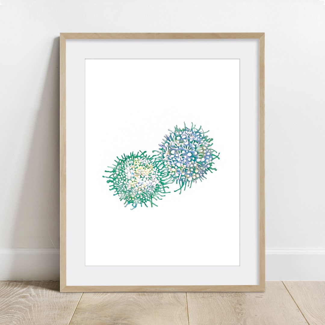 Immune Cells, Science Art, T Cells Print, Defensive Cell Art Poster ...